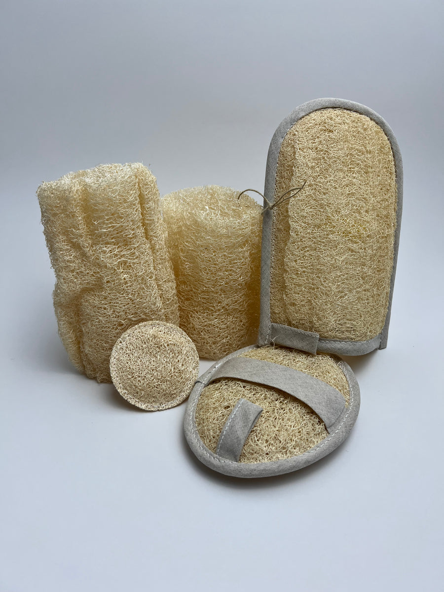 Luffas Vegetable Sponges – Bethru